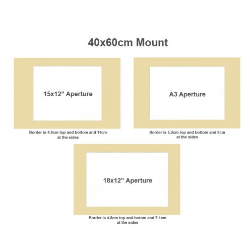 40x60 cm Bevel Edge Photo Picture Mount